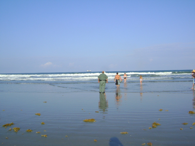 The Sting: Patriot Robert Trump went Undercover for the FBI to stop ...