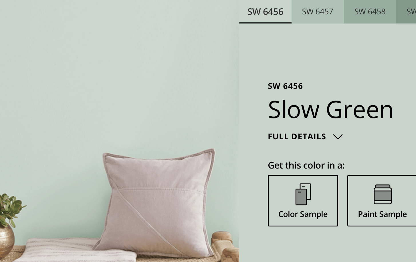 Paint Poll! – The Radio Patriot